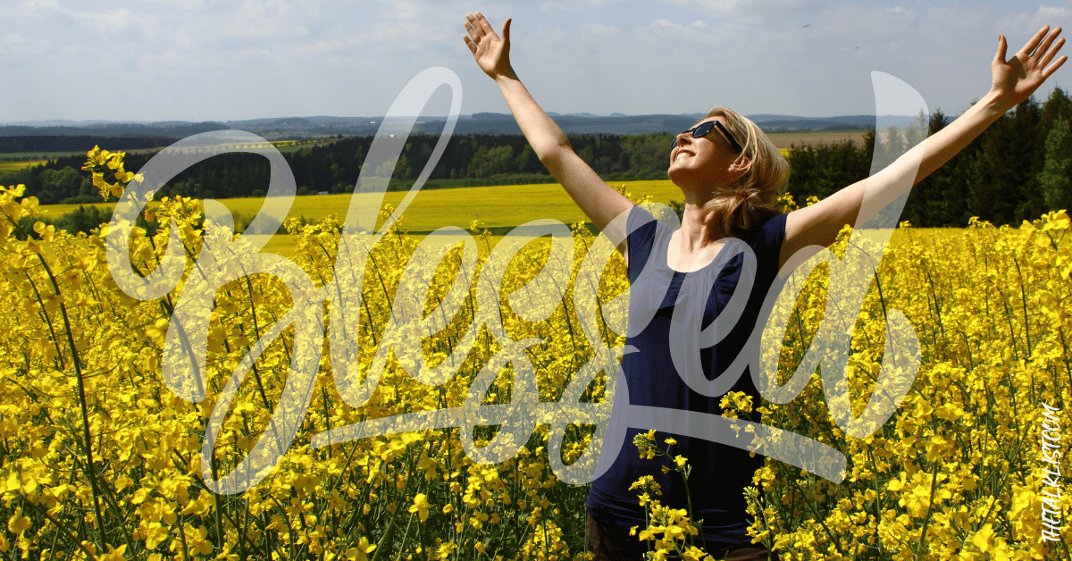 Haitian Creole Alphabet: Best Guide to Haiti's Written Language ...