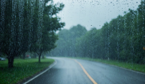 RAIN in Different Languages: 242+ Translations Around The Globe ...