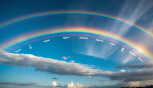 RAINBOW in Different Languages: 242+ Translations Around The Globe ...